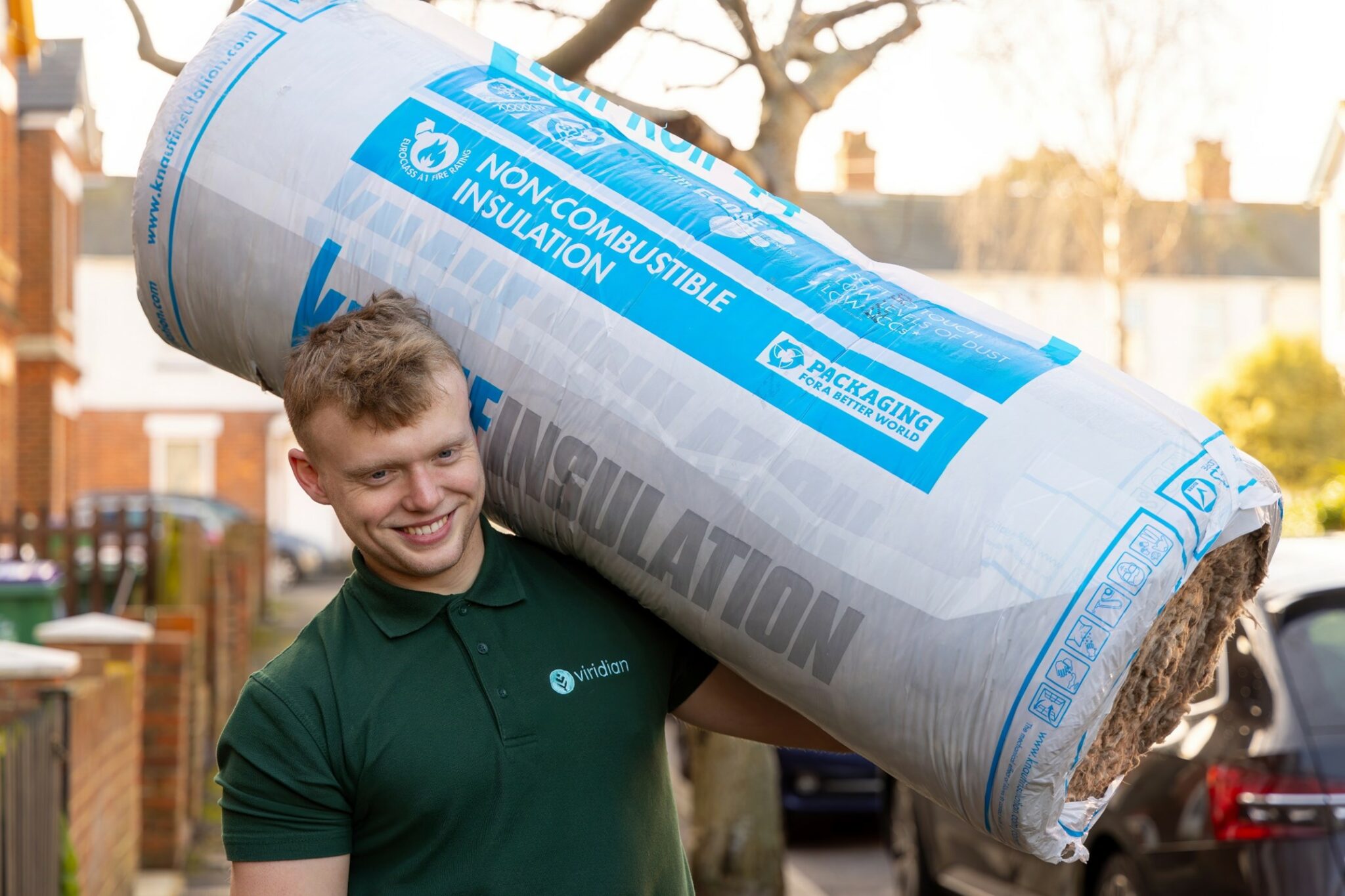 Loft Insulation Specialists for the South East | Viridian