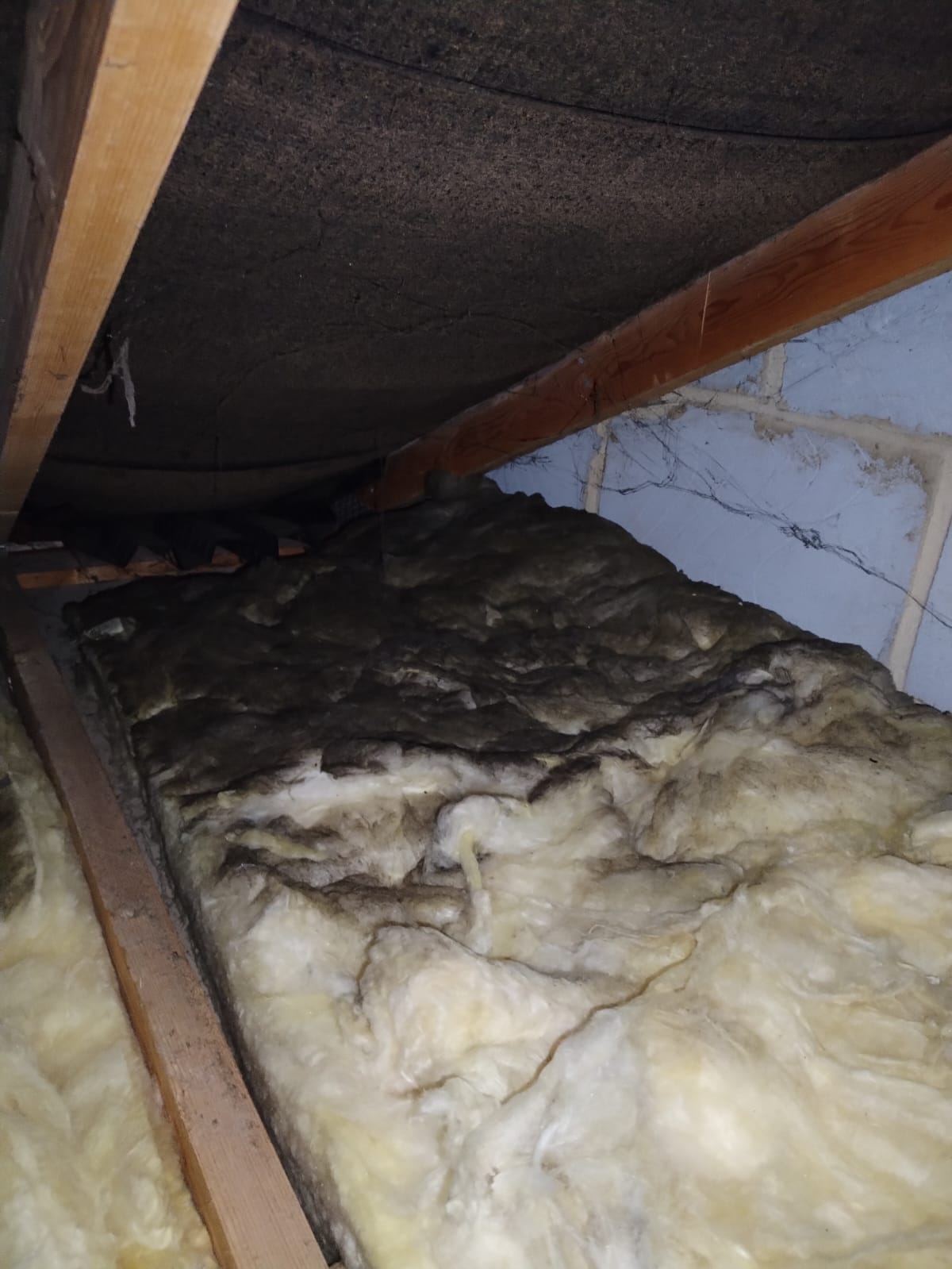 Home Insulation Specialists for the South East | Viridian